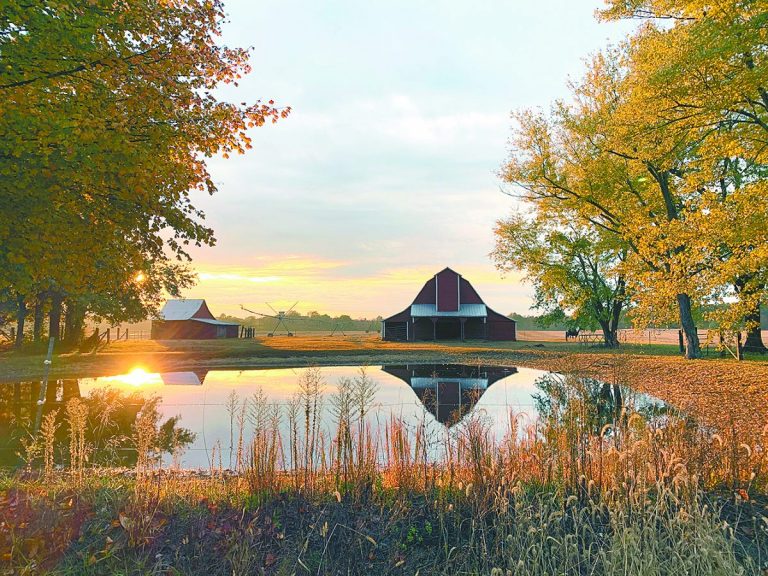 AND THE WINNER IS… – NWTN Today