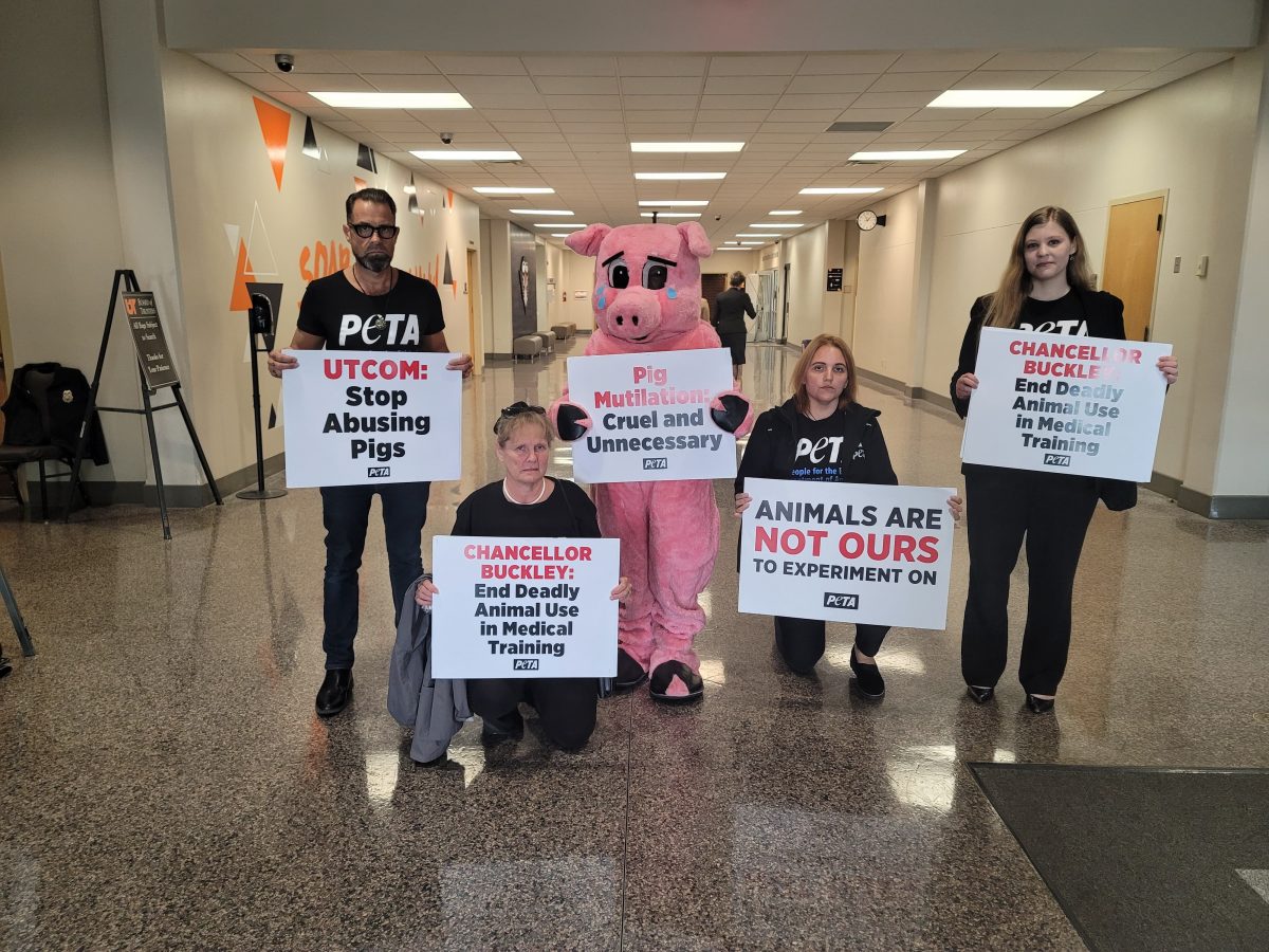 PETA protests UTM Board of Trustees meeting over ‘pig mutilation ...