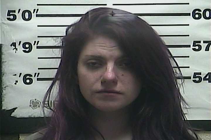 Newbern woman arrested in Dresden on multiple charges – NWTN Today