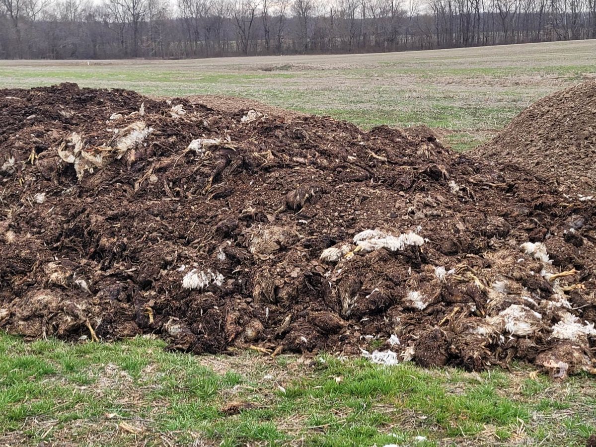 326538843_595046742019268_6755103061095780928_n – NWTN Today